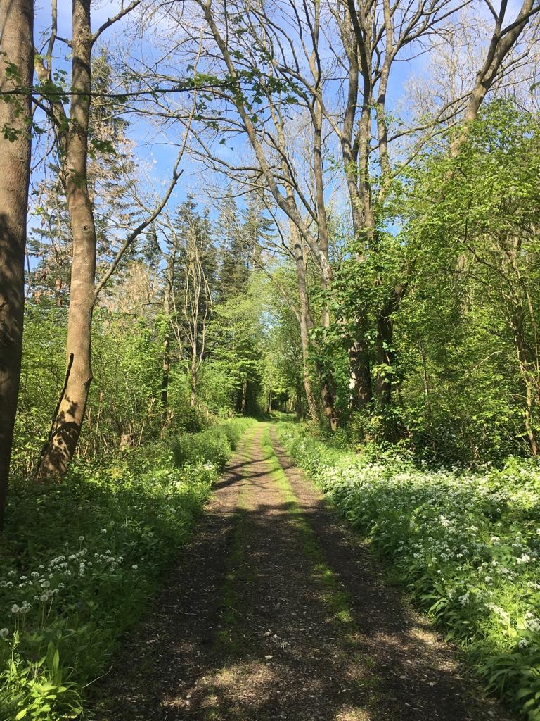 On Wenlock Edge – Walking The Landscape