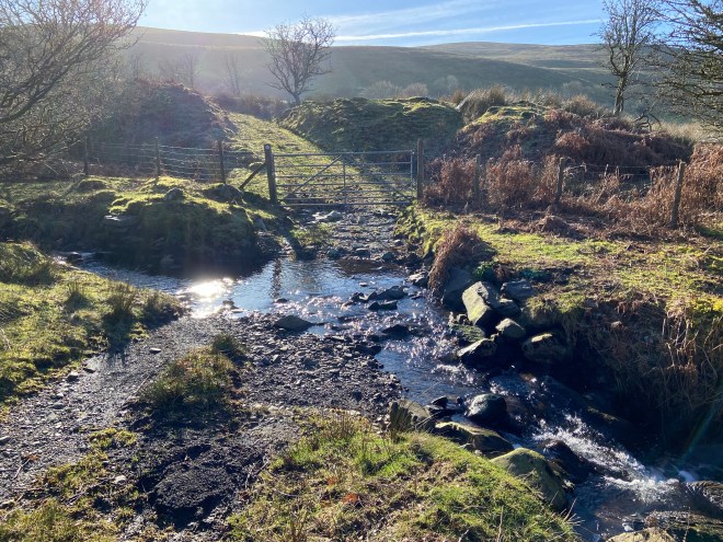 River-Teifi – Walking The Landscape